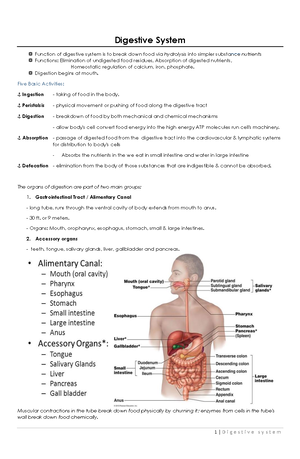 Skeletal System Lab Exercise - Laboratory Exercise No. 3 THE SKELETAL SYSTEM Bones – An Overview ...