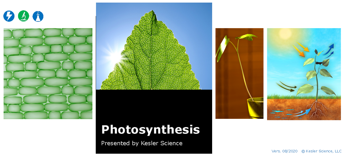 3Explanation Photosynthesis Presentation Interactivew Integrated ...