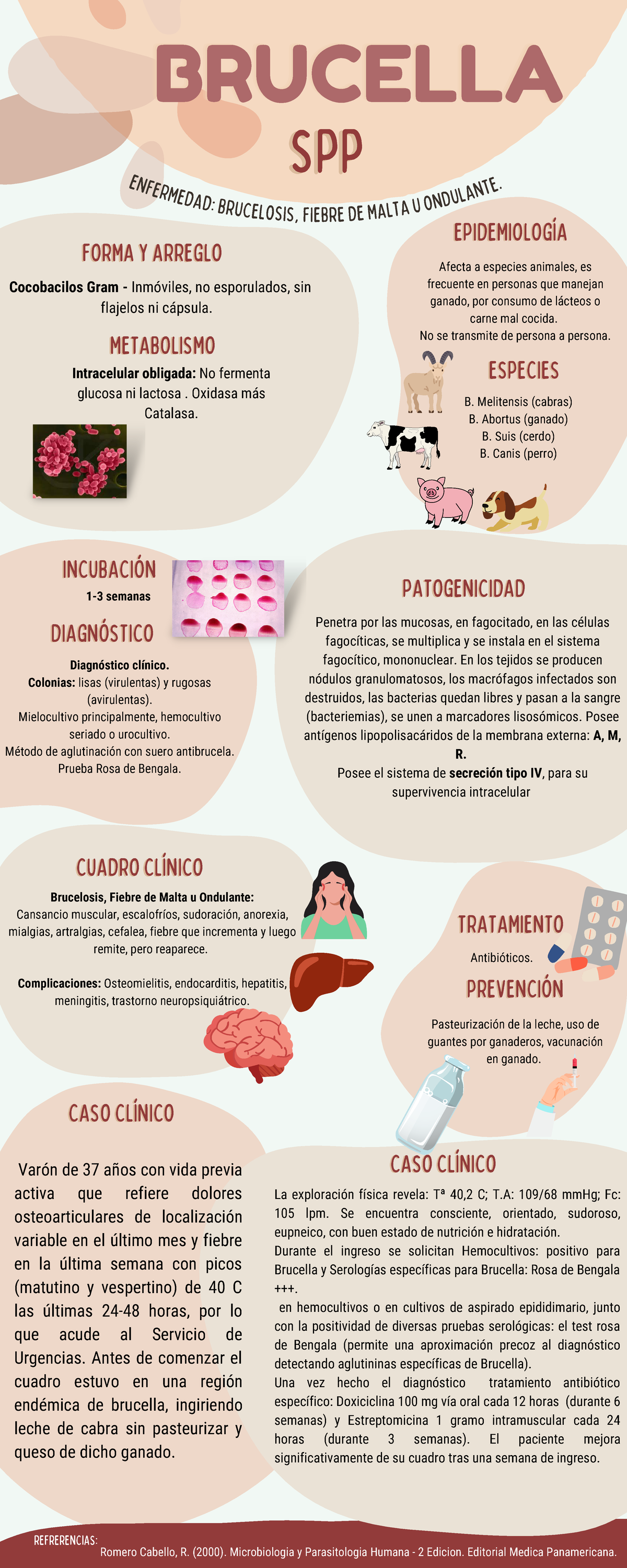 Brucella INFO Y CASO Clinico - CASO CLÍNICOCASO CLÍNICO SPPSPP BRUCELLABRUCELLABRUCELLA FORMA Y ...