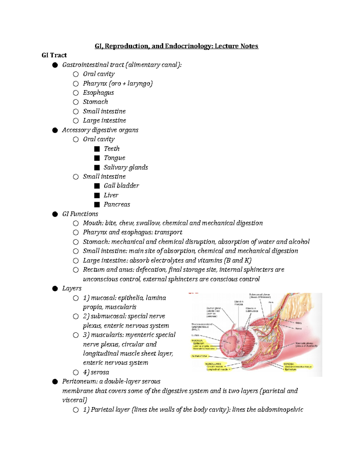 GI + Reproduction Lecture Notes - GI, Reproduction, and Endocrinology ...