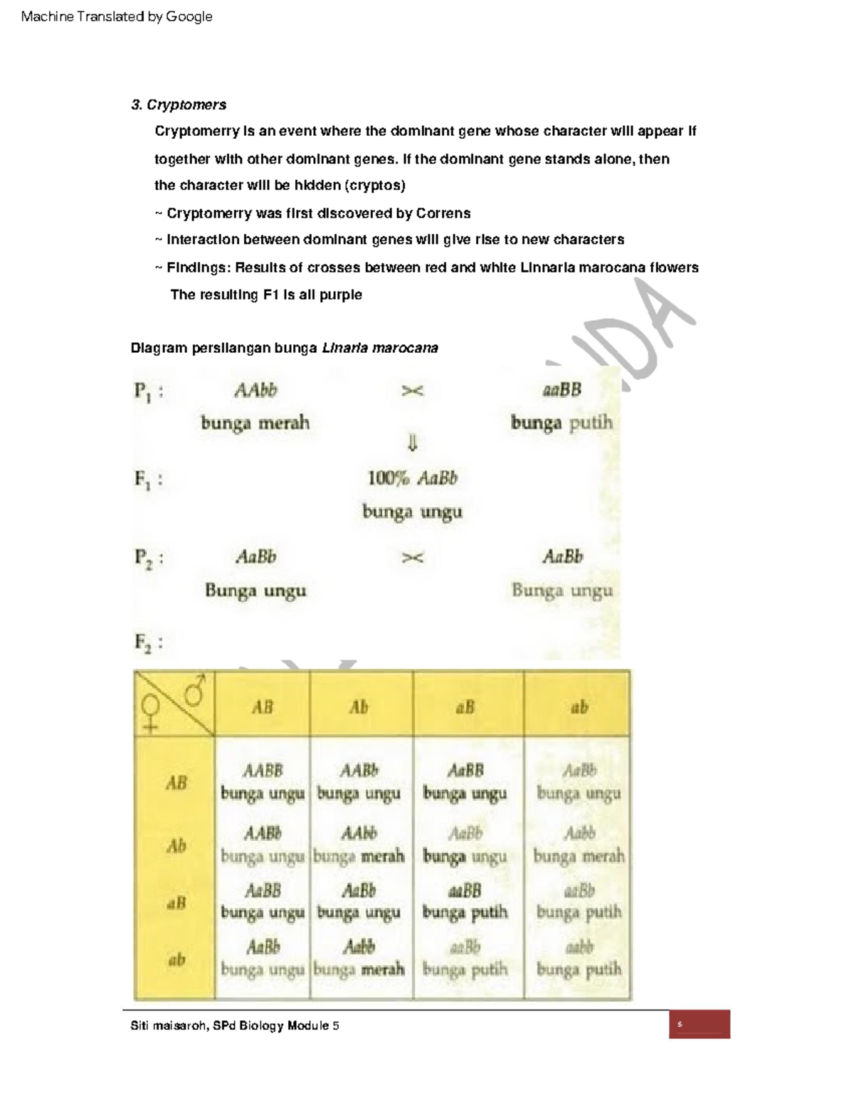 Biology (1) (1)-3 - The resulting F1 is all purple together with other dominant genes. If the ...
