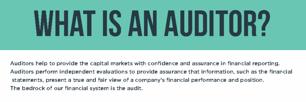 Discover Audit College-Students-Toolkit-1 - What is an auditor ...