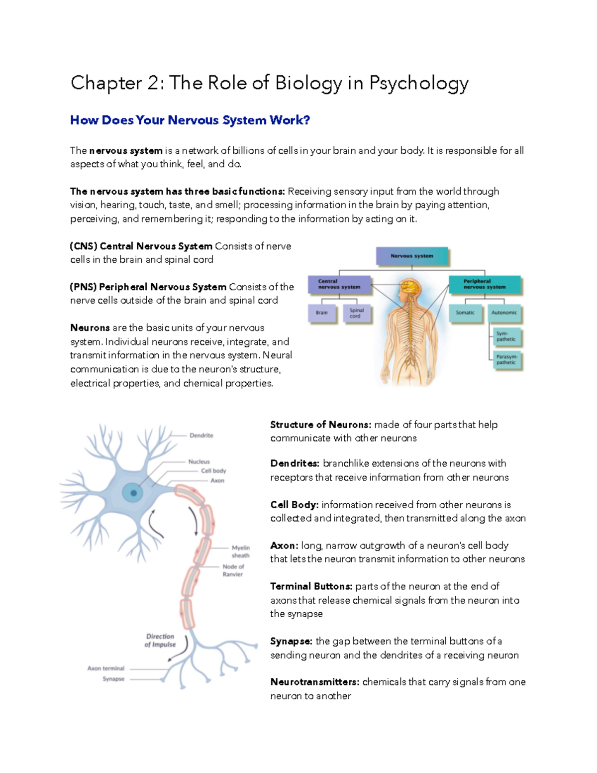Chapter 2: The Role of Biology in Psychology - Notes - Chapter 2: The ...