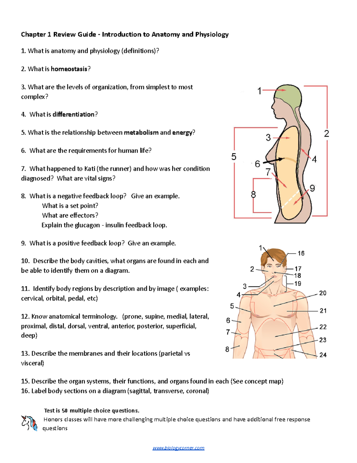 Review Chap1 - For lab activities - Chapter 1 Review Guide ...