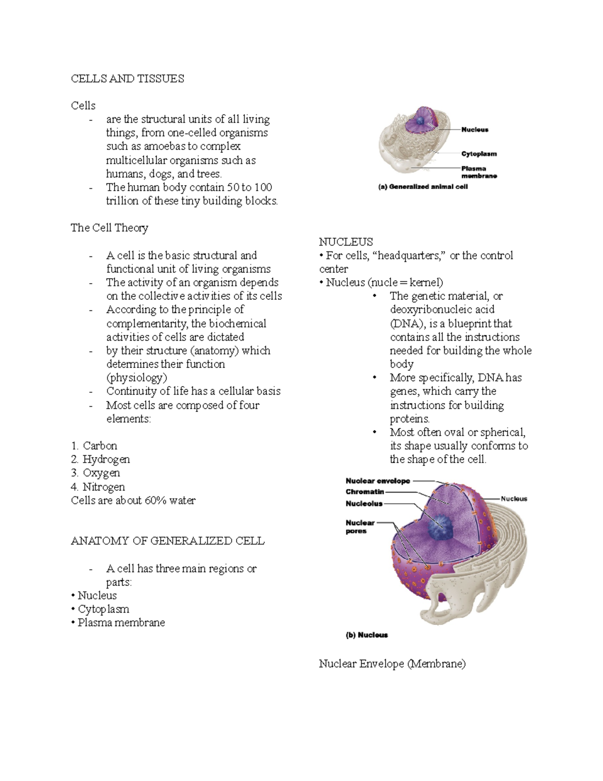 Cells AND Tissues Reviewer - CELLS AND TISSUES Cells - are the ...