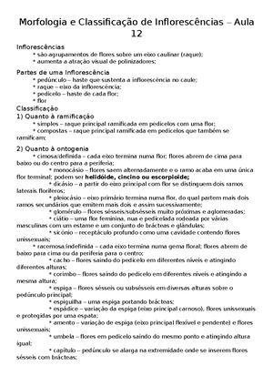 Aula 10 Flor Verticilos Estéreis - Flor – Verticilos Estéreis – Aula 10 ...