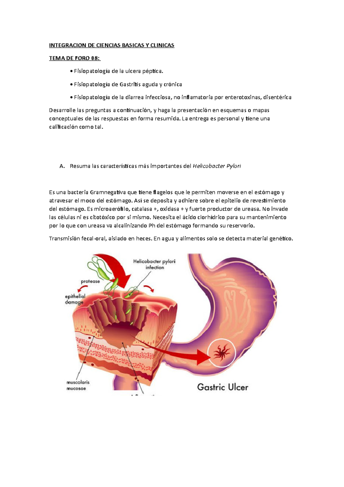 Trabajo sobre disuria, tenesmo vesical e itus - INTEGRACION DE CIENCIAS ...