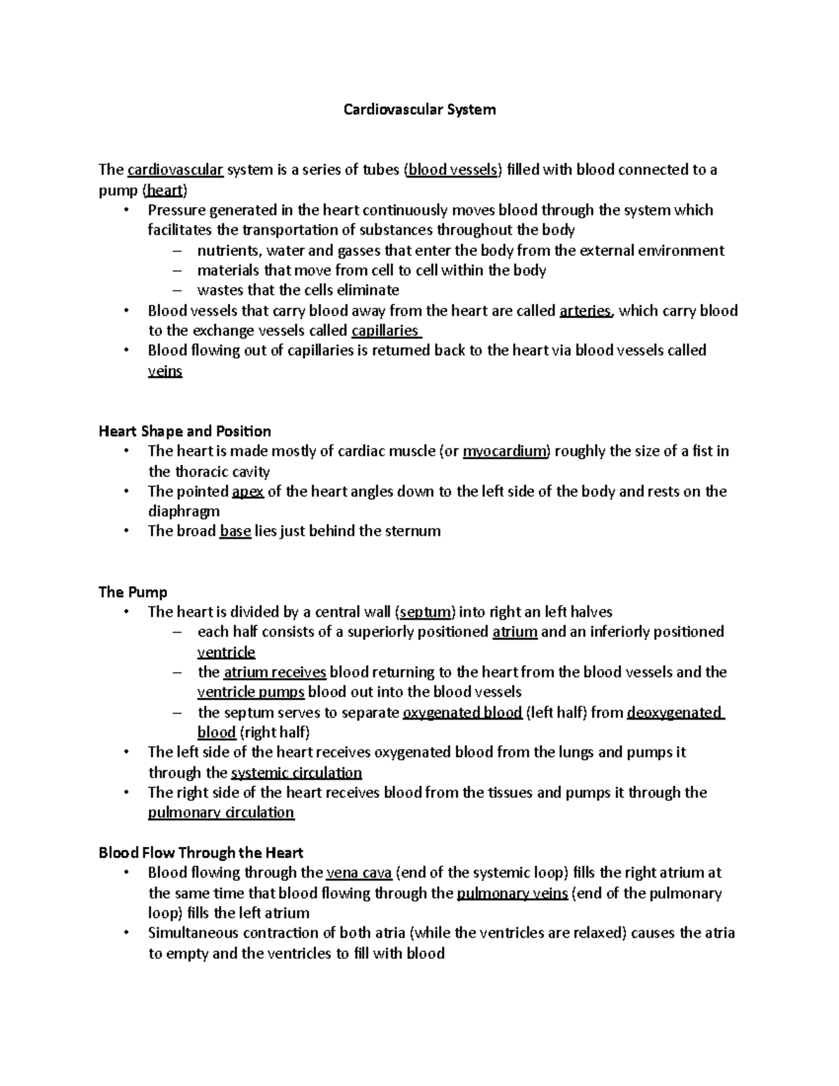Cardiovascular System - Studocu