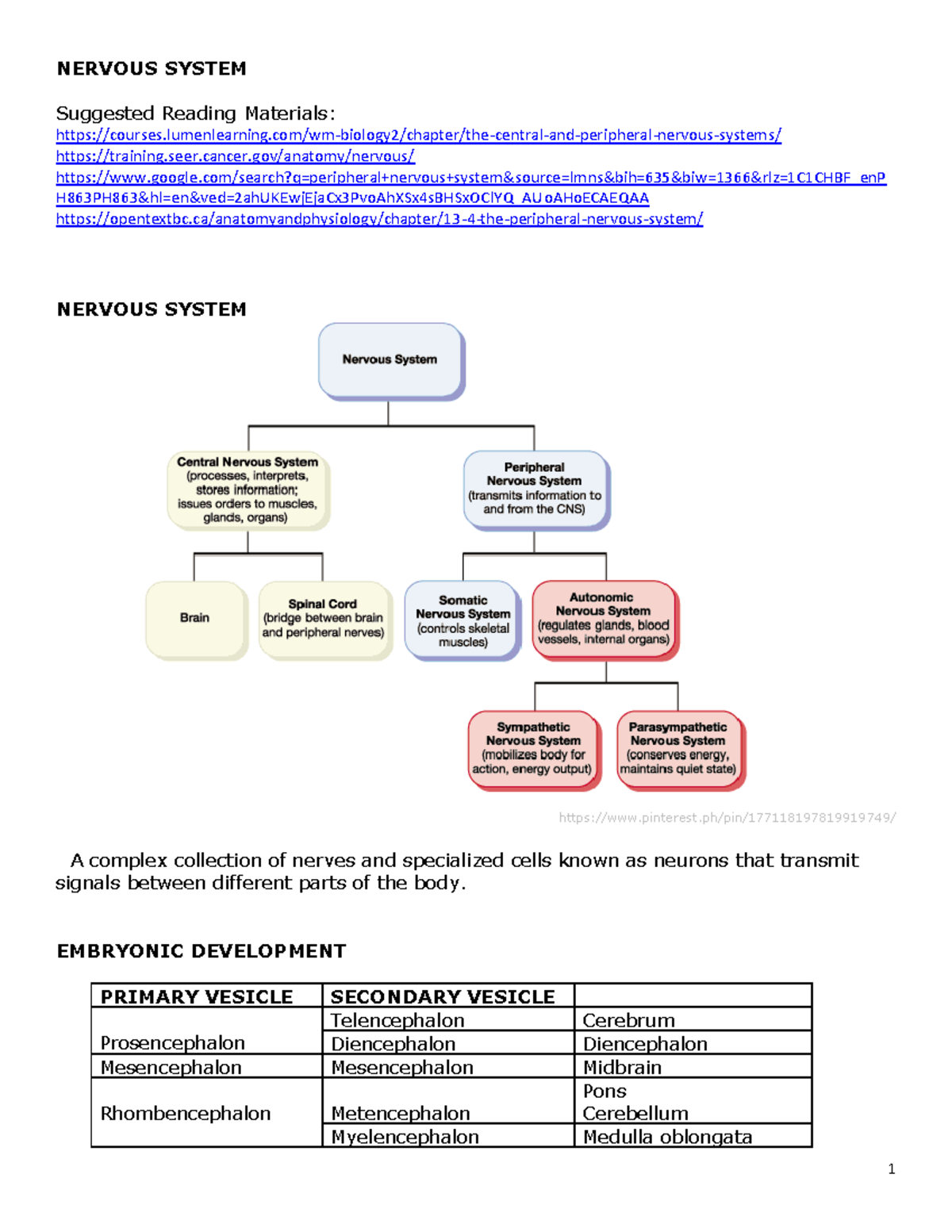Notes in Nervous System - NERVOUS SYSTEM Suggested Reading Materials ...
