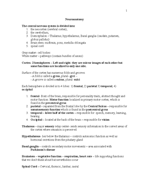 Neurotransmitter Handout - Neurotransmitters The molecules stored in ...