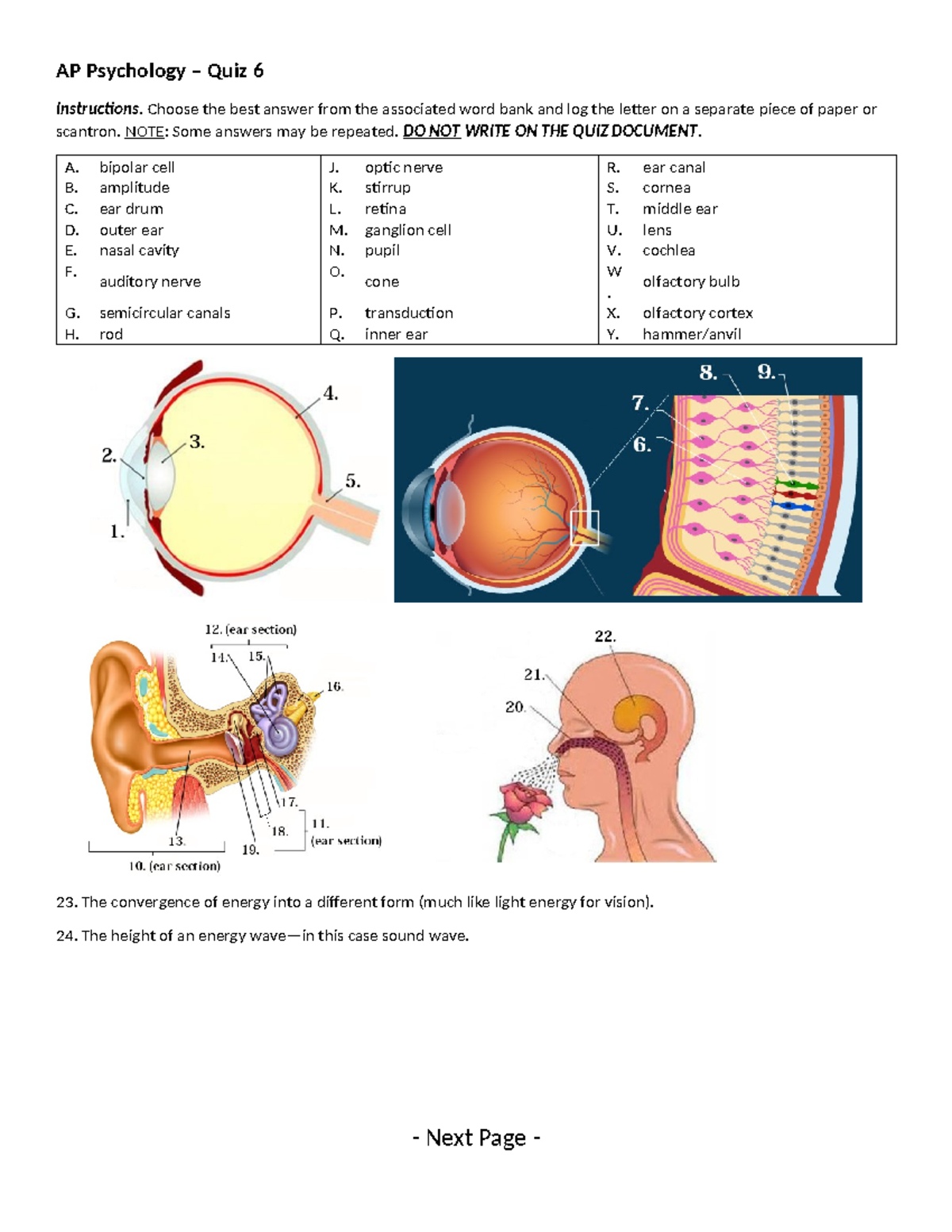 Ap Psychology sensation Quiz 6 - AP Psychology – Quiz 6 Instructions ...