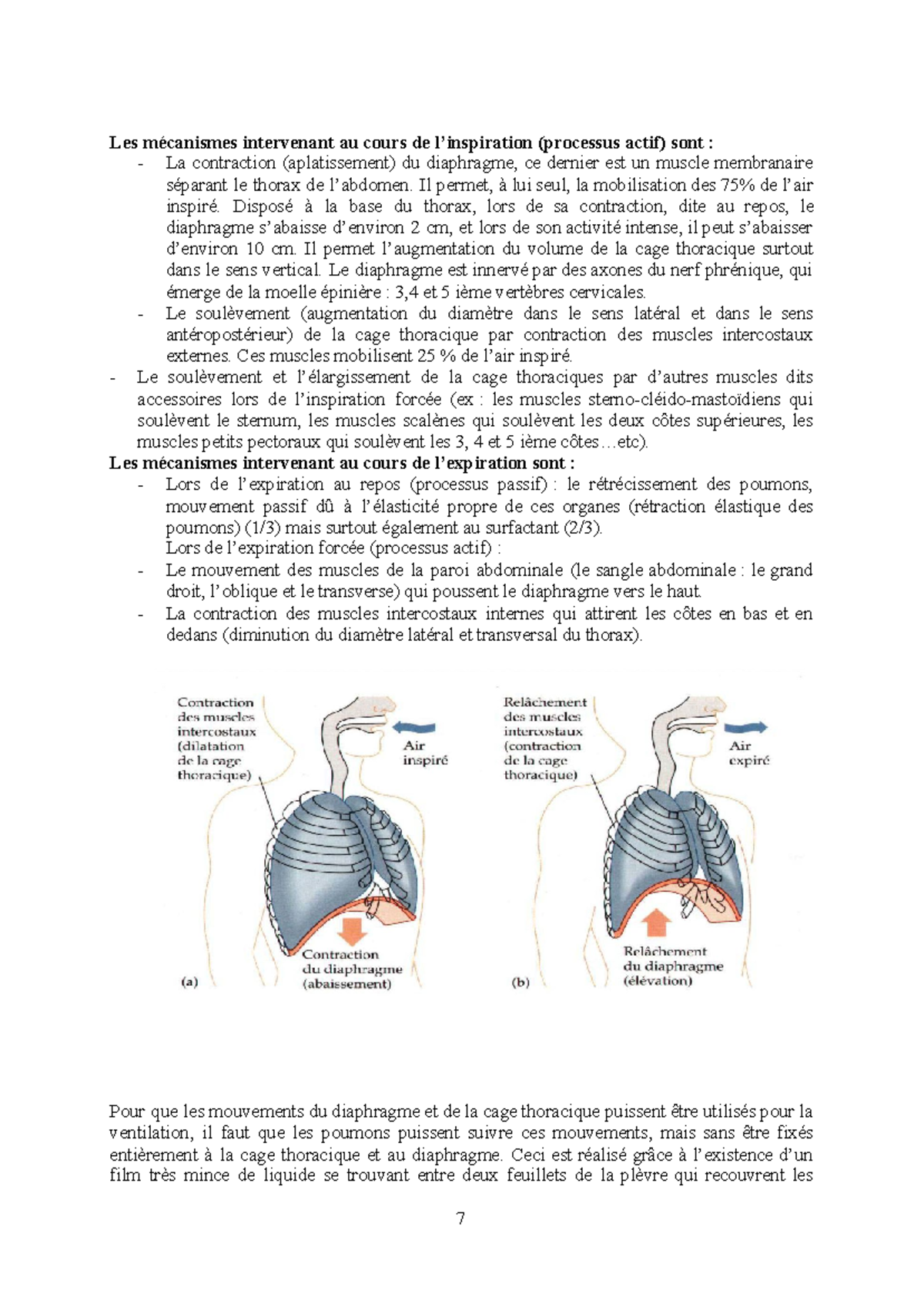 07 - Notes de cours cours de Physiologie - Les mécanismes intervenant ...