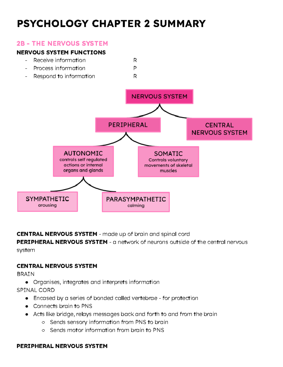 Psychology Chapter 2 Summary - PSYCHOLOGY CHAPTER 2 SUMMARY 2B - THE NERVOUS SYSTEM NERVOUS ...