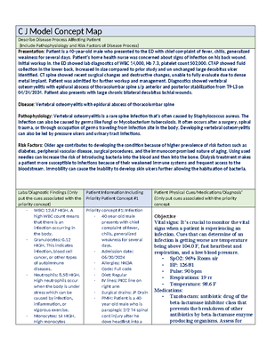 MS2 CJM Patient 1 - Example of a concept map - C J Model Concept Map ...