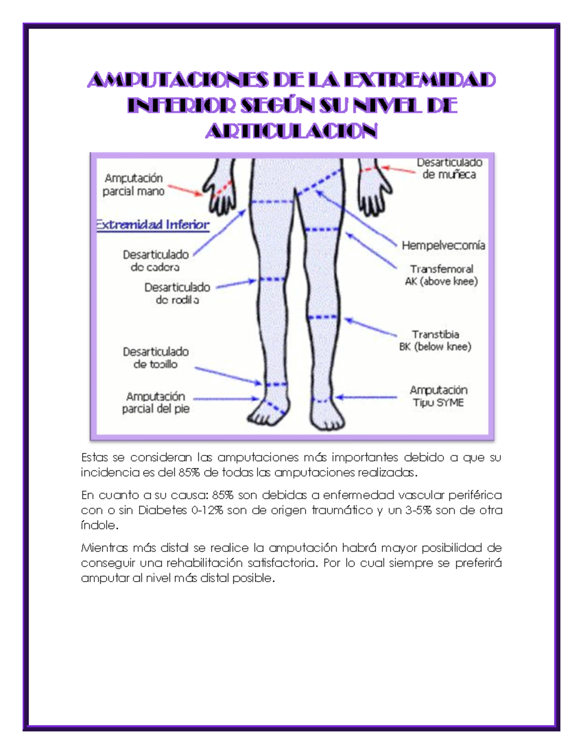 Amputaciones de la extremidad inferior según su nivel de articulación ...