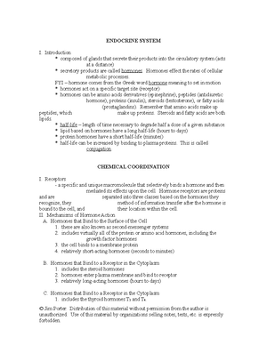 Reproductive Anatomy Study Guide - coiled channels of the epididymis ...