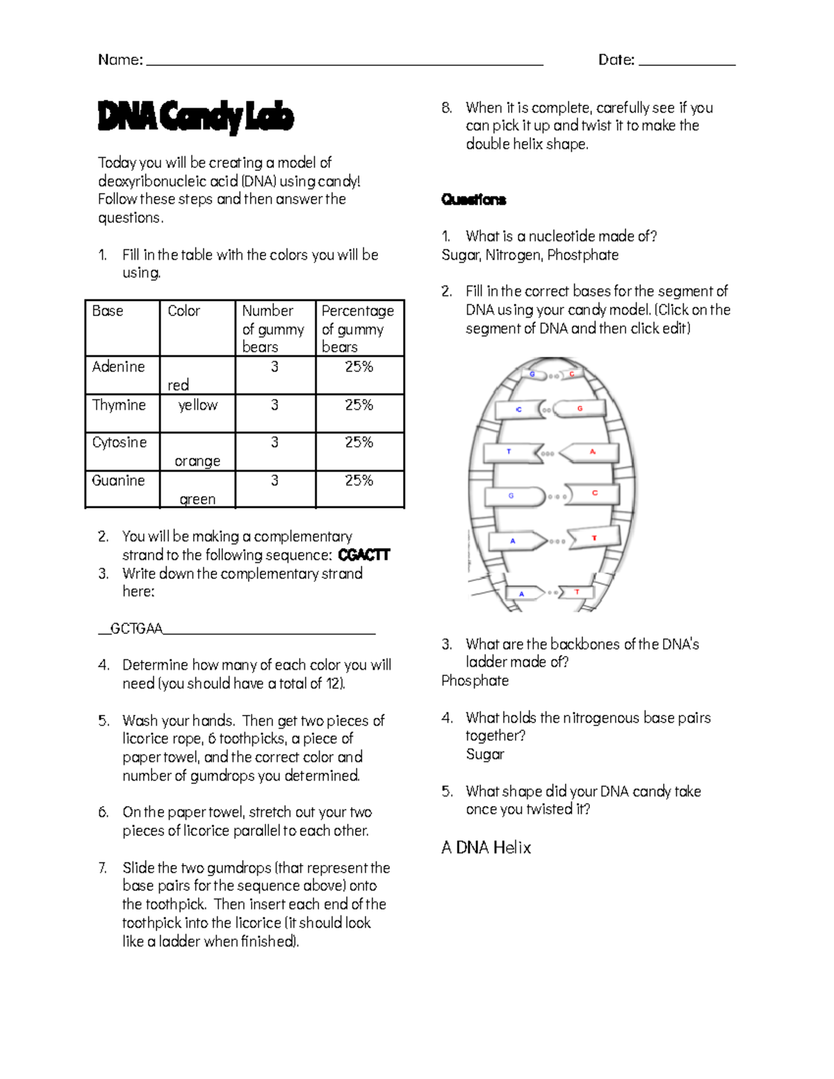Copy of Lab Candy DNA - Name ...