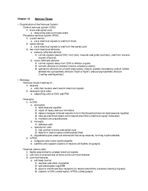 Chapter 4Tissues - Human anatomy tissues - Chapter 4 Tissues Four major ...