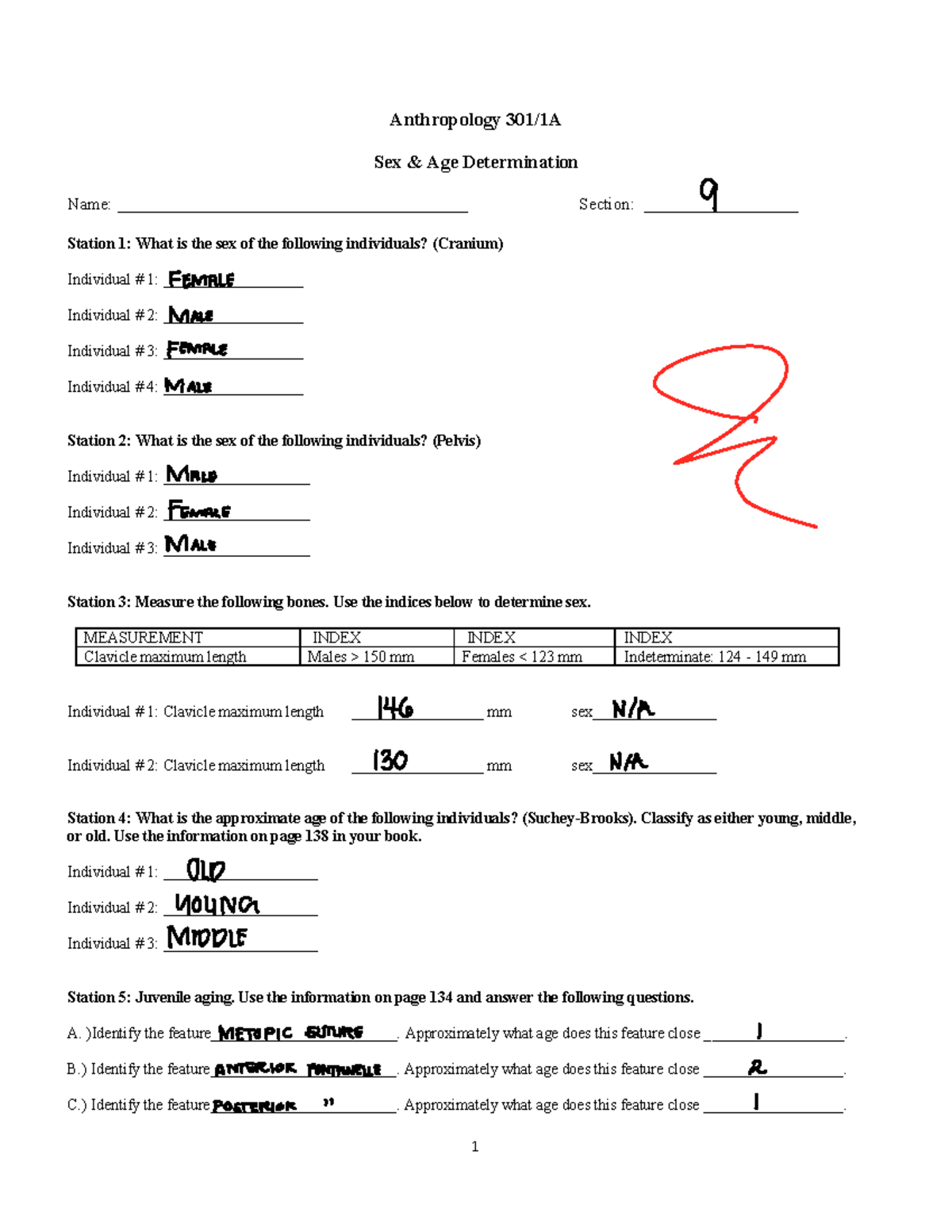 Worksheet Five - N/A - 1 Anthropology 301/1A Sex & Age Determination ...