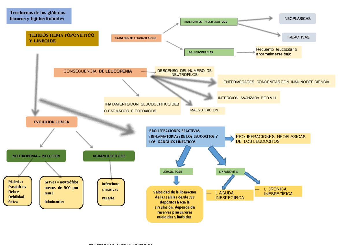 Tejidos linfoides - Mapas conceptuales - Warning: TT: undefined function: 22 Warning: TT ...