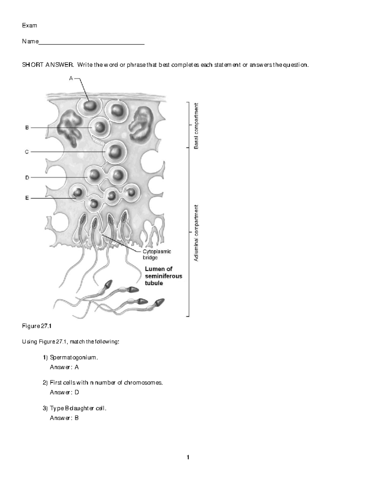 Chapter 27 - Exam Name___________________________________ SHORT ANSWER ...