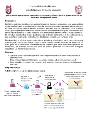 Práctica 14 “ Aislamiento DE DNA Plasmídico” - OBJETIVOS. • Aislar y purificar el plásmido pUC19 ...