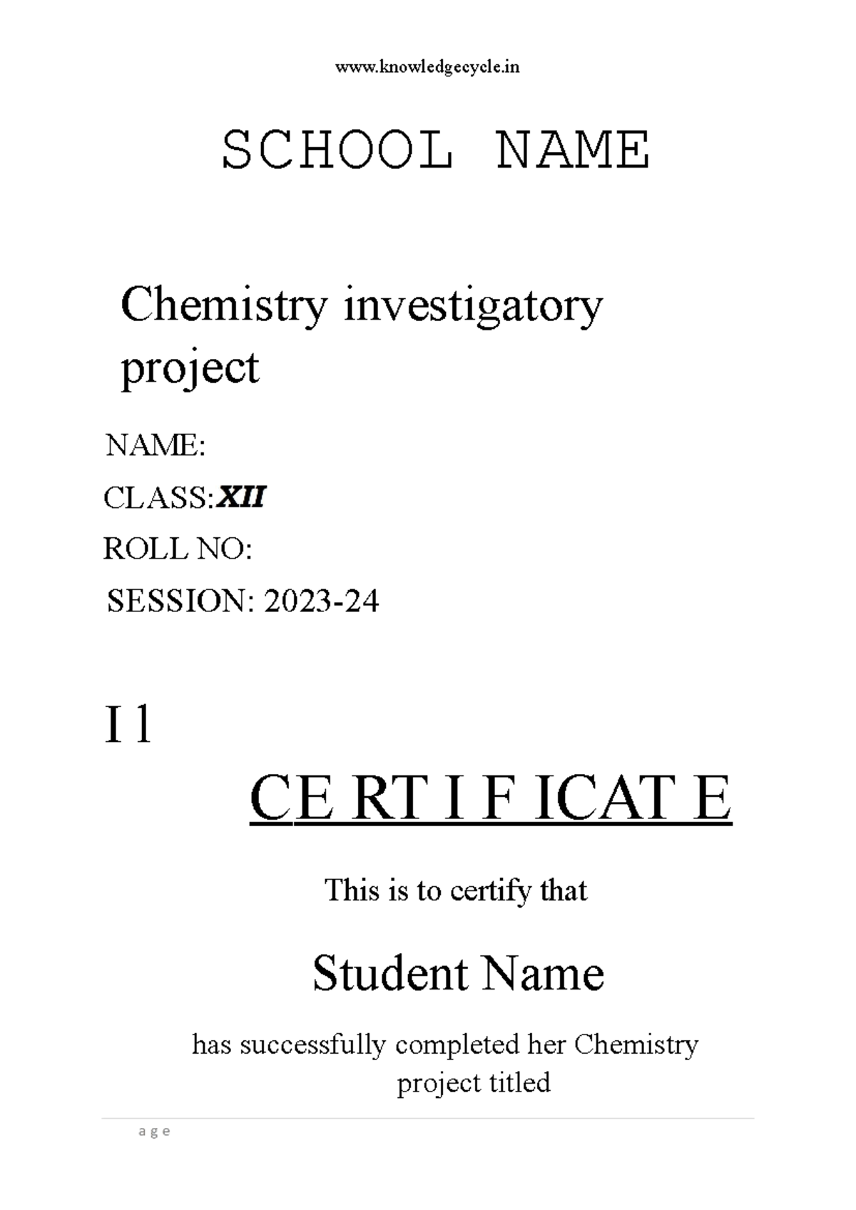 Electrochemical cell (P) - SCHOOL NAME Chemistry investigatory project ...