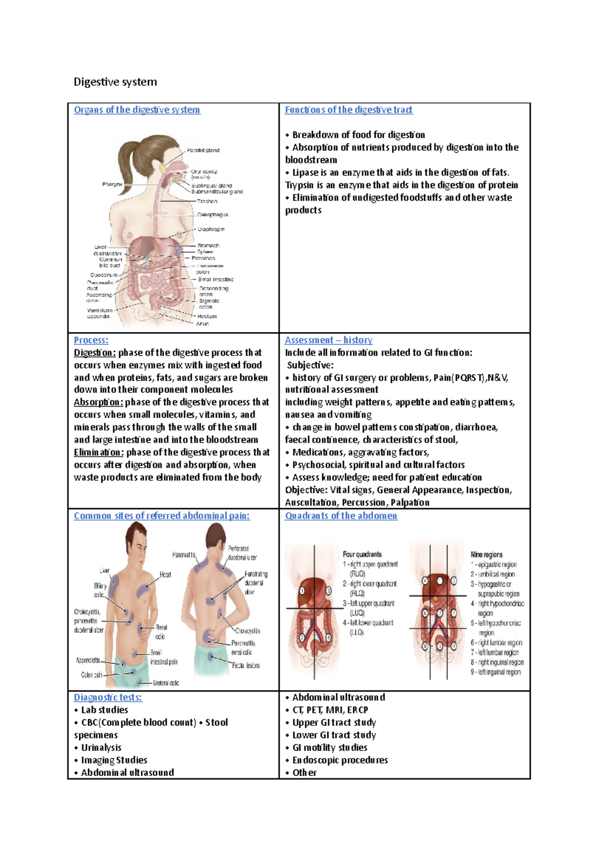 Acute GI Renal - Digestive system Organs of the digestive system ...