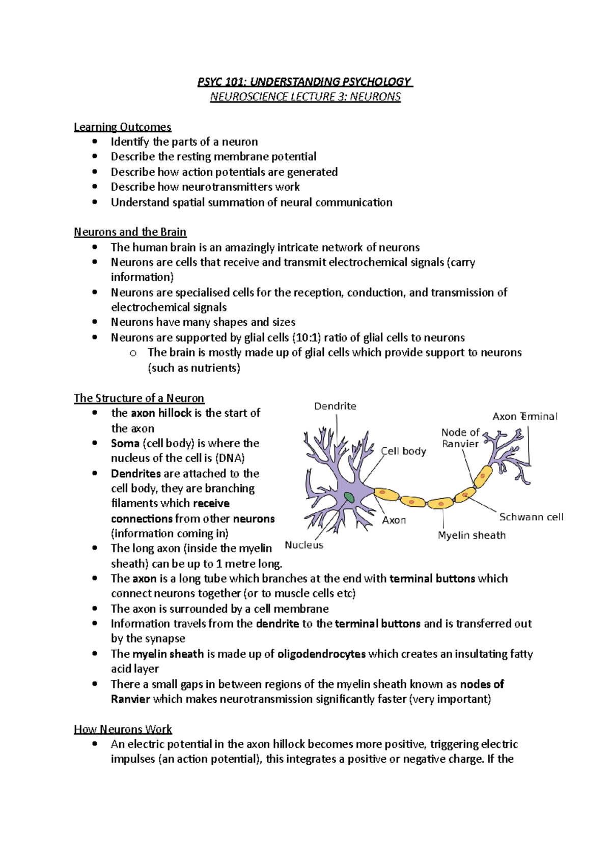 Neuroscience Lecture 3: Neurons - PSYC 101: UNDERSTANDING PSYCHOLOGY ...