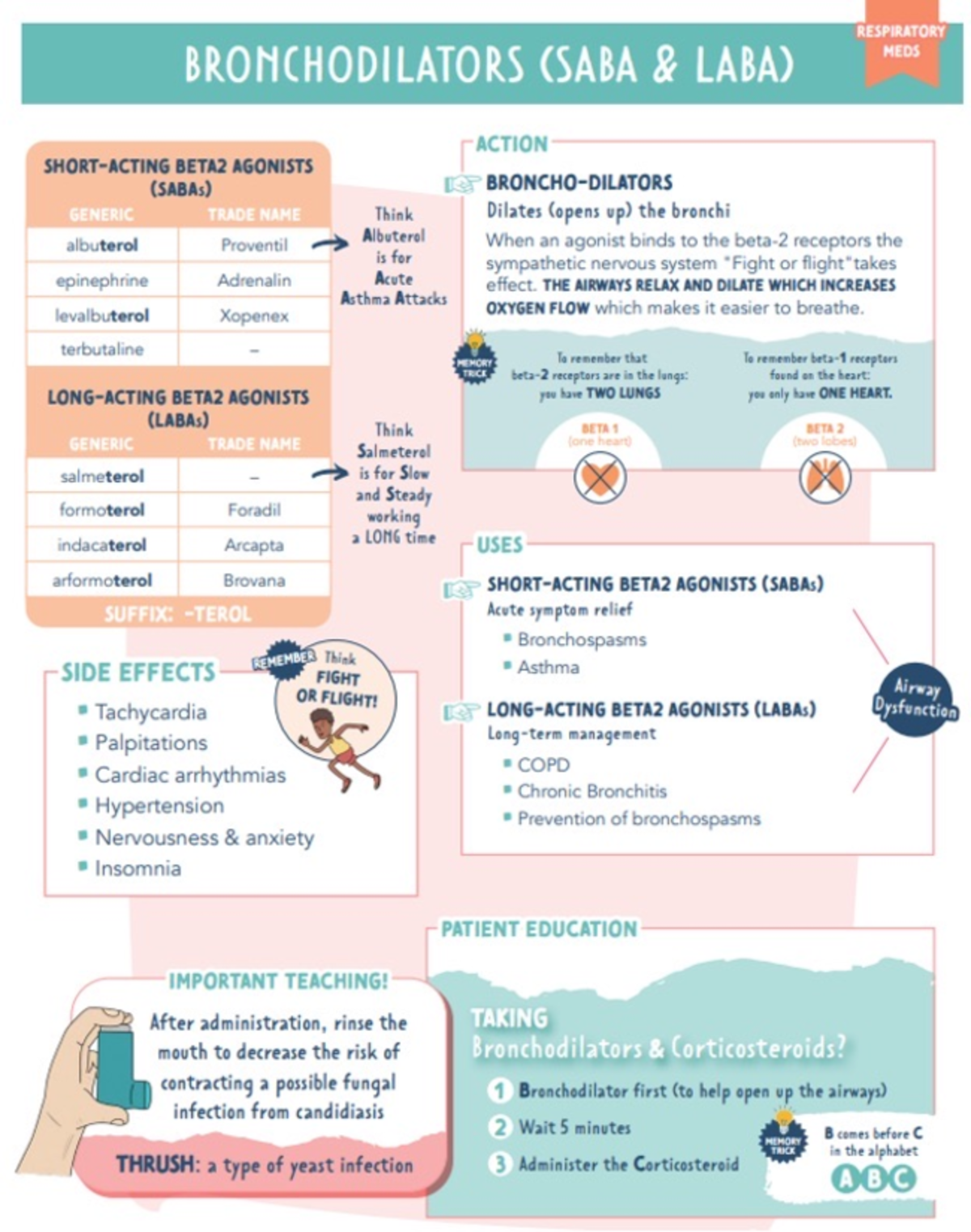 Bronchodilators 2 - Essential Info - NURS 3651 - Studocu