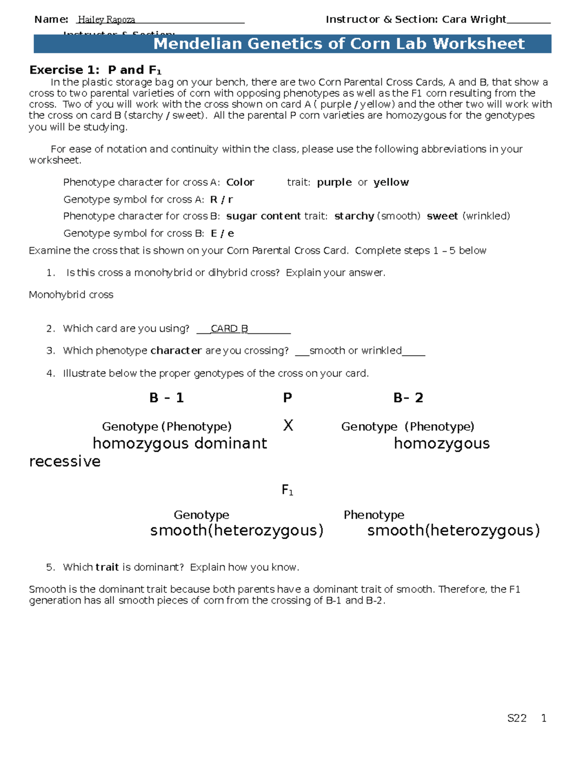 9 Mendelian Genetics of Corn worksheet S22 - Instructor & Section ...