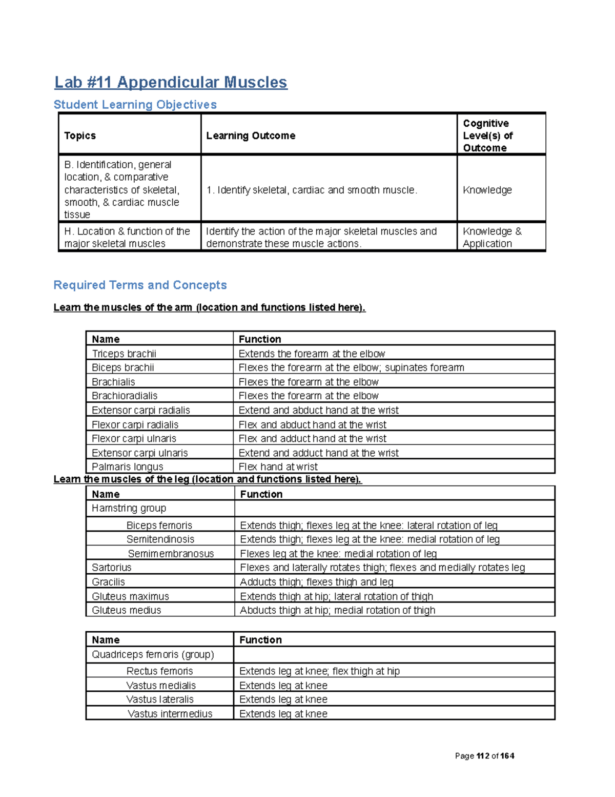 Lab #11 Appendicular Muscles - Lab #11 Appendicular Muscles Student ...