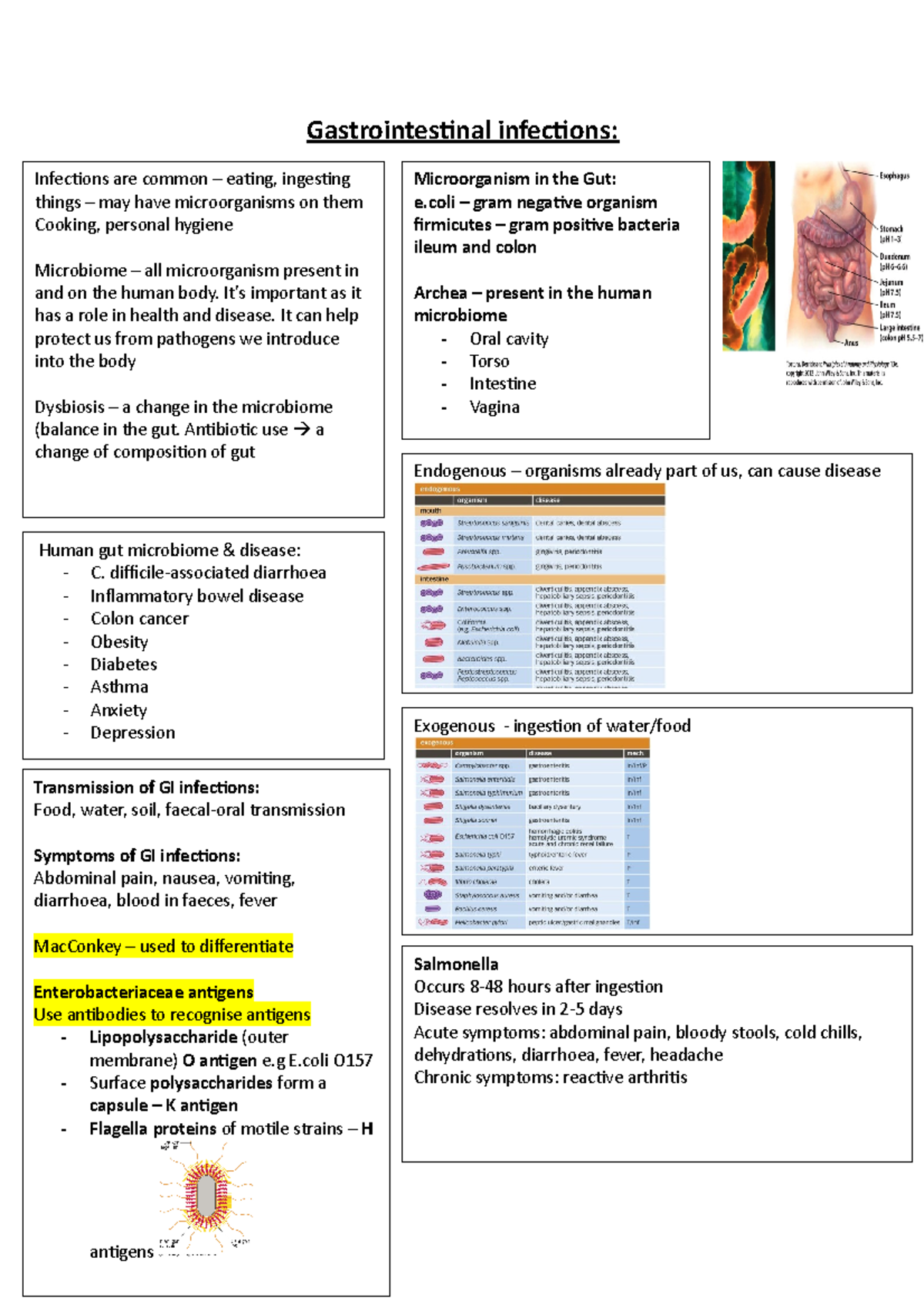 Gastrointestinal infections - Gastrointestinal infections: Infections ...
