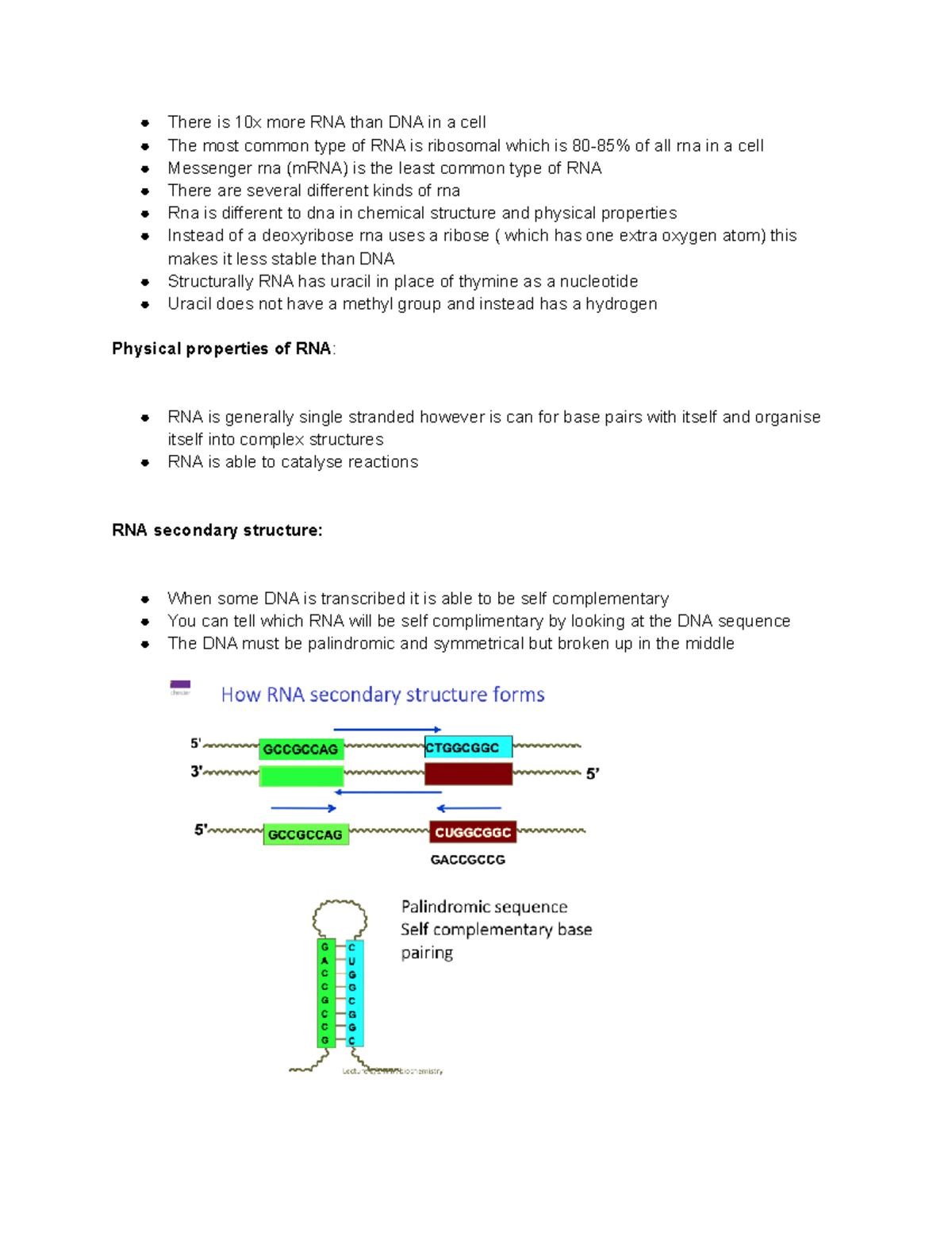 Module 6- RNA biology - molecular bio notes - There is 10x more RNA ...