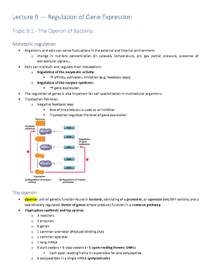 BIO1140 Module 3 - Cell Membranes and Transports - Lecture 3 – Cell ...