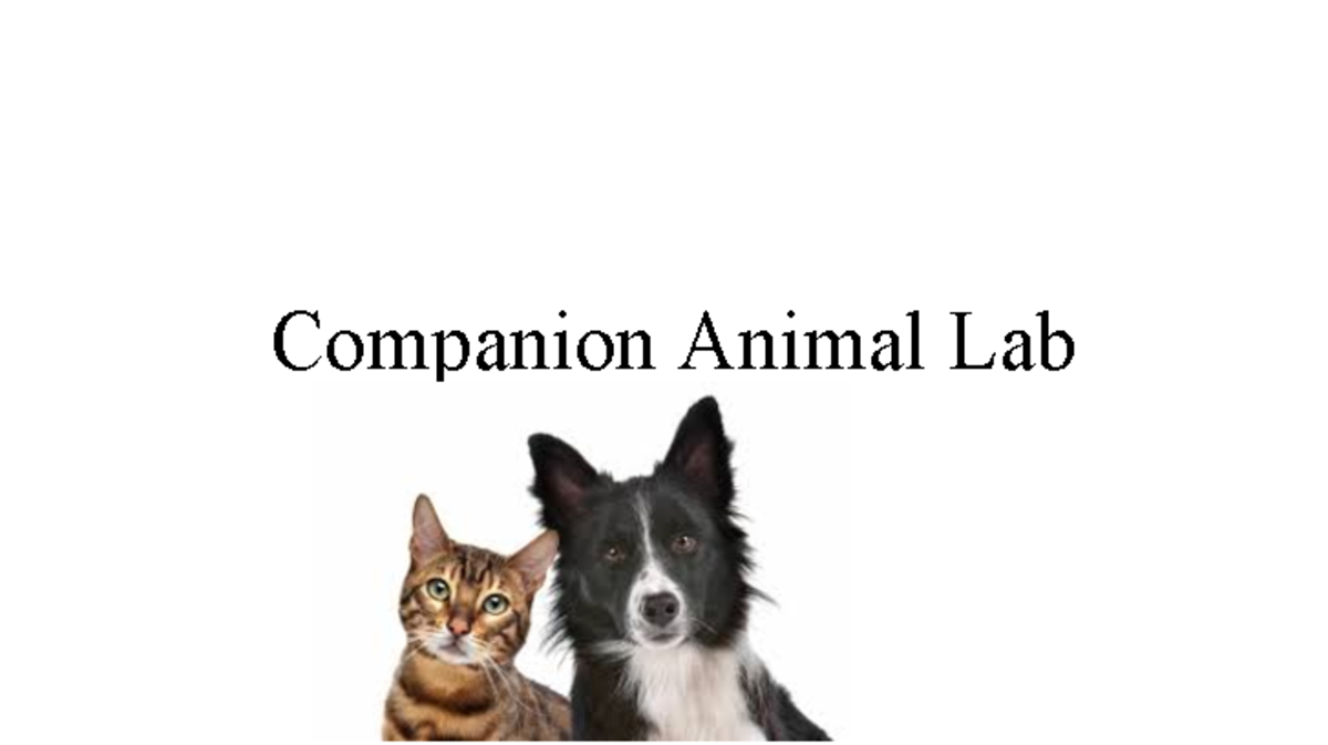 Companion Animal Lab 1 notes - Companion Animal Lab Nutrition ...