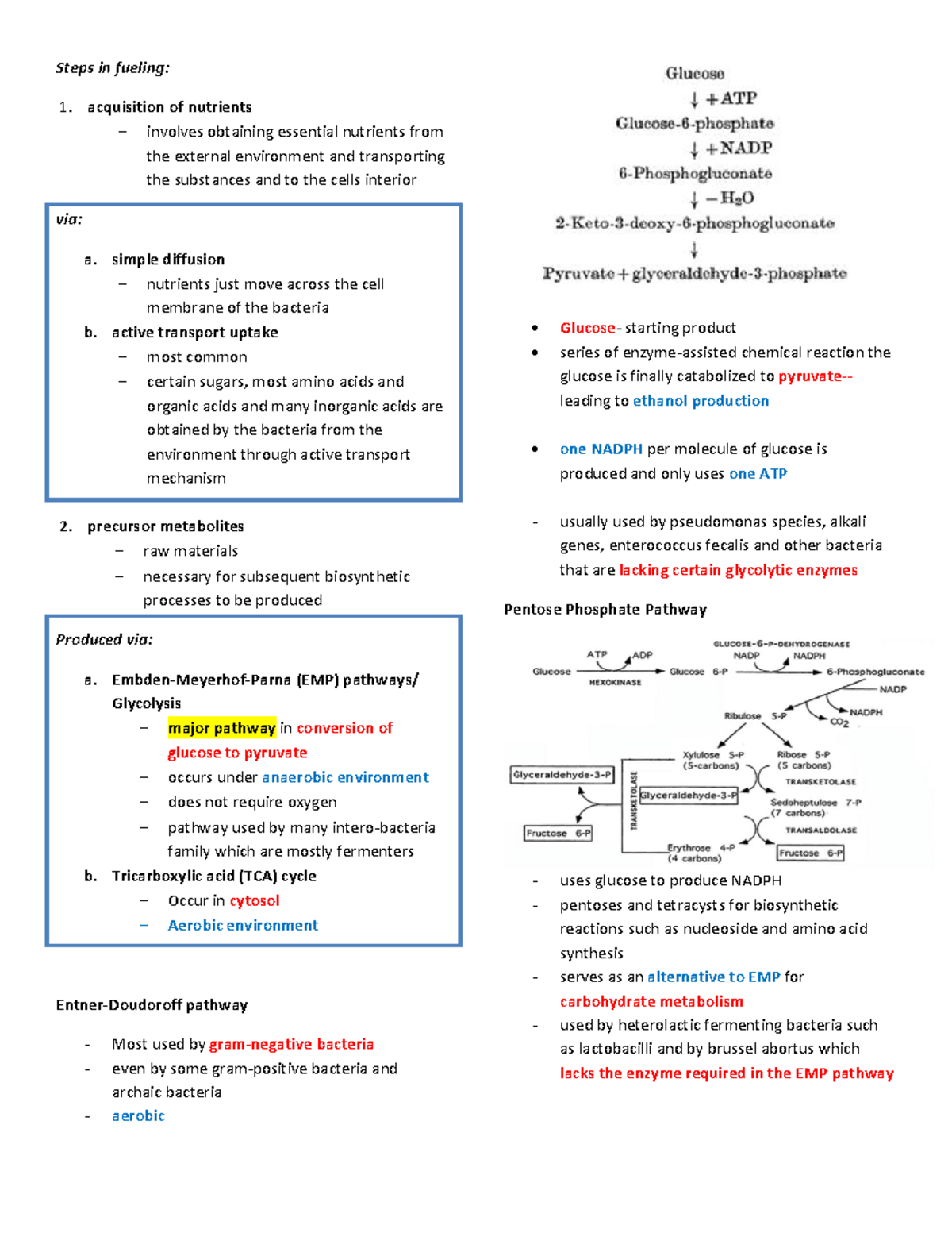 Steps in fueling - acquisition of nutrients involves obtaining ...
