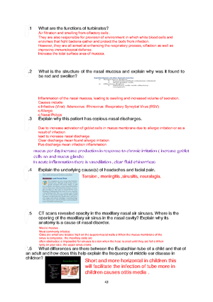 Worksheet Focus on Body Systems - Health Opportunities Through Physical ...