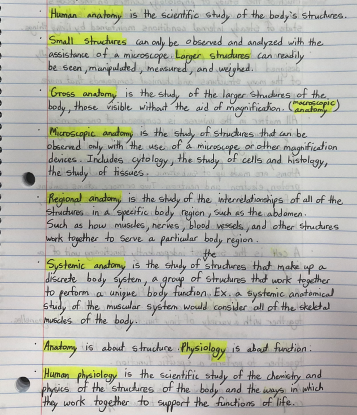 Ch. 1 - Intro To The Human Body - BIO 203 - Studocu