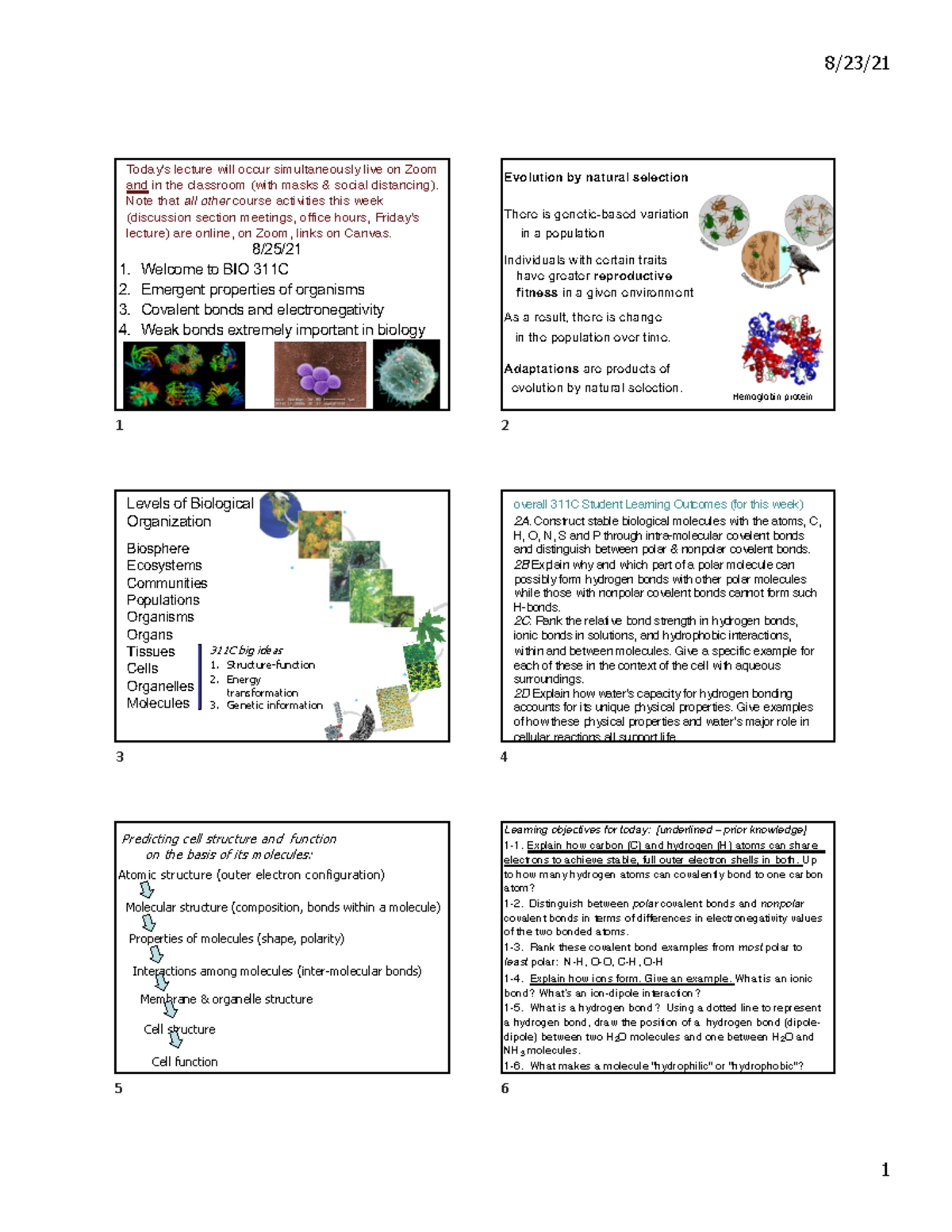 1-Aug25 lecture Handout - 8/23/ 1 8/25/ 1. Welcome to BIO 311C 2 ...