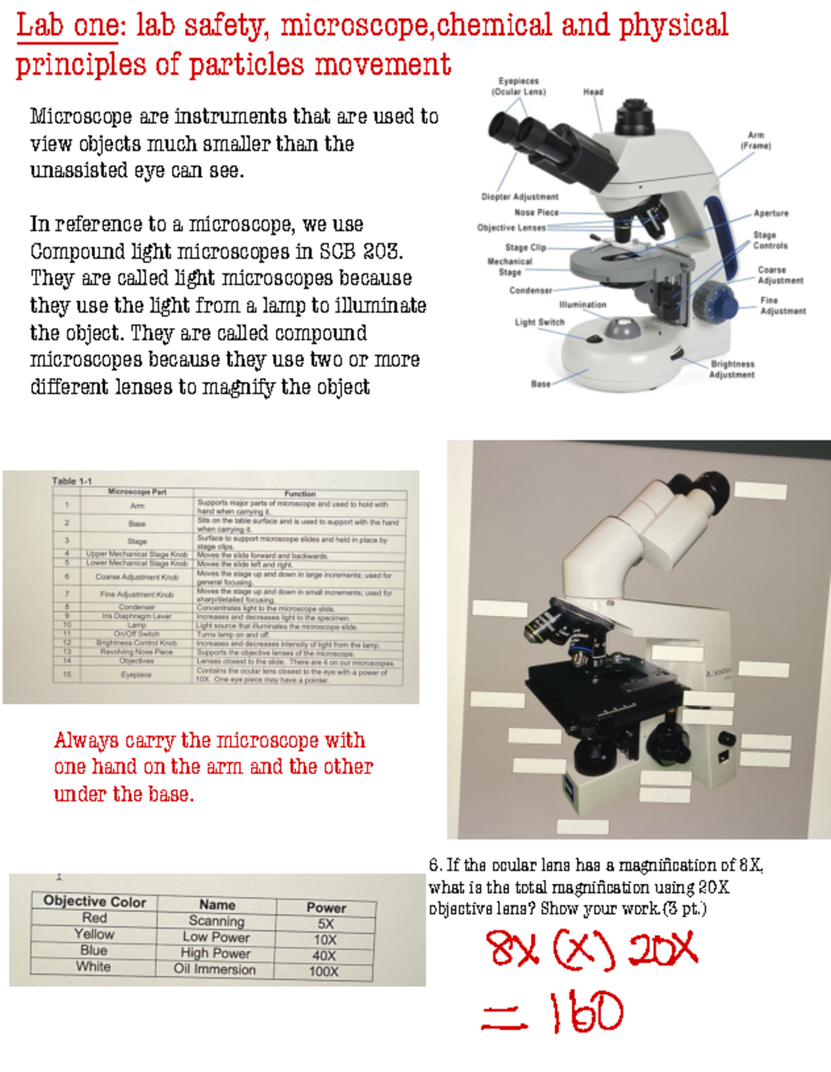 Microscope - Lab one: lab safety, microscope,chemical and physical ...