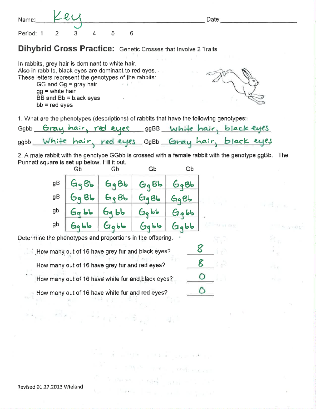Dihybrid cross practice (rabbits) key - Studocu