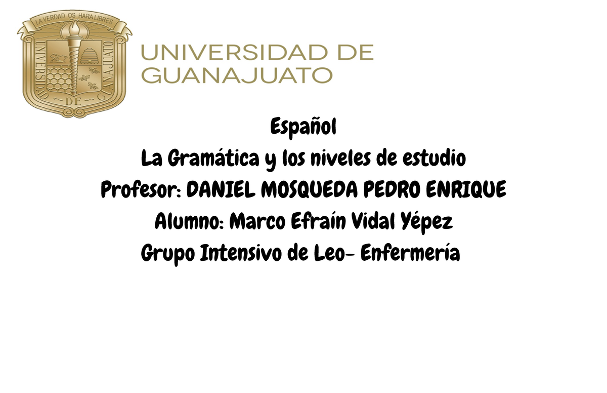 La gramática y los niveles de estudio - Español La Gramática y los ...