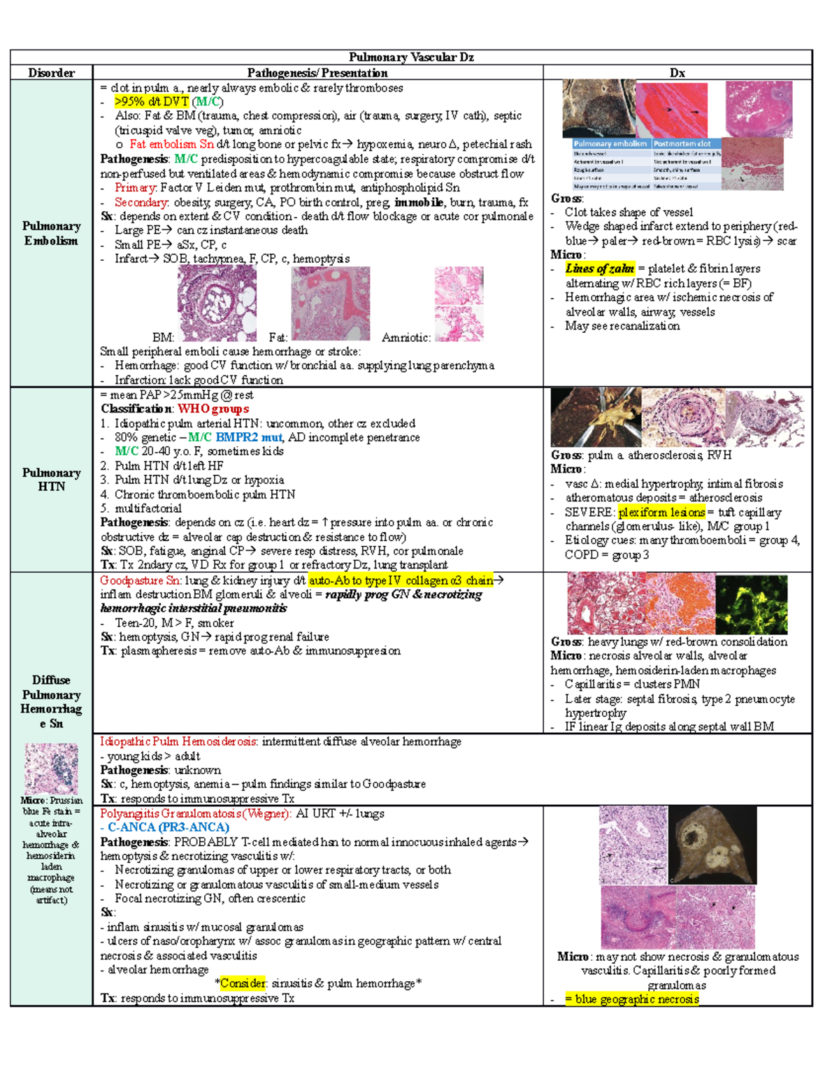 Path L6 Pulm Vasc - Path L6 Pulm Vasc - Pulmonary Vascular Dz Disorder ...