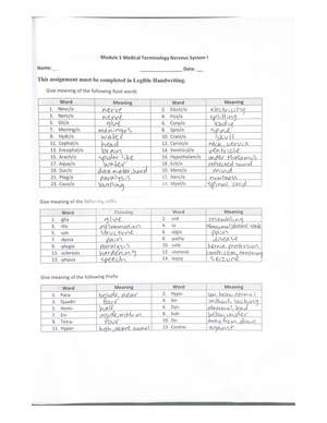 Medical Terminology Worksheet Respiratory - BIO 201 Module 7 ...