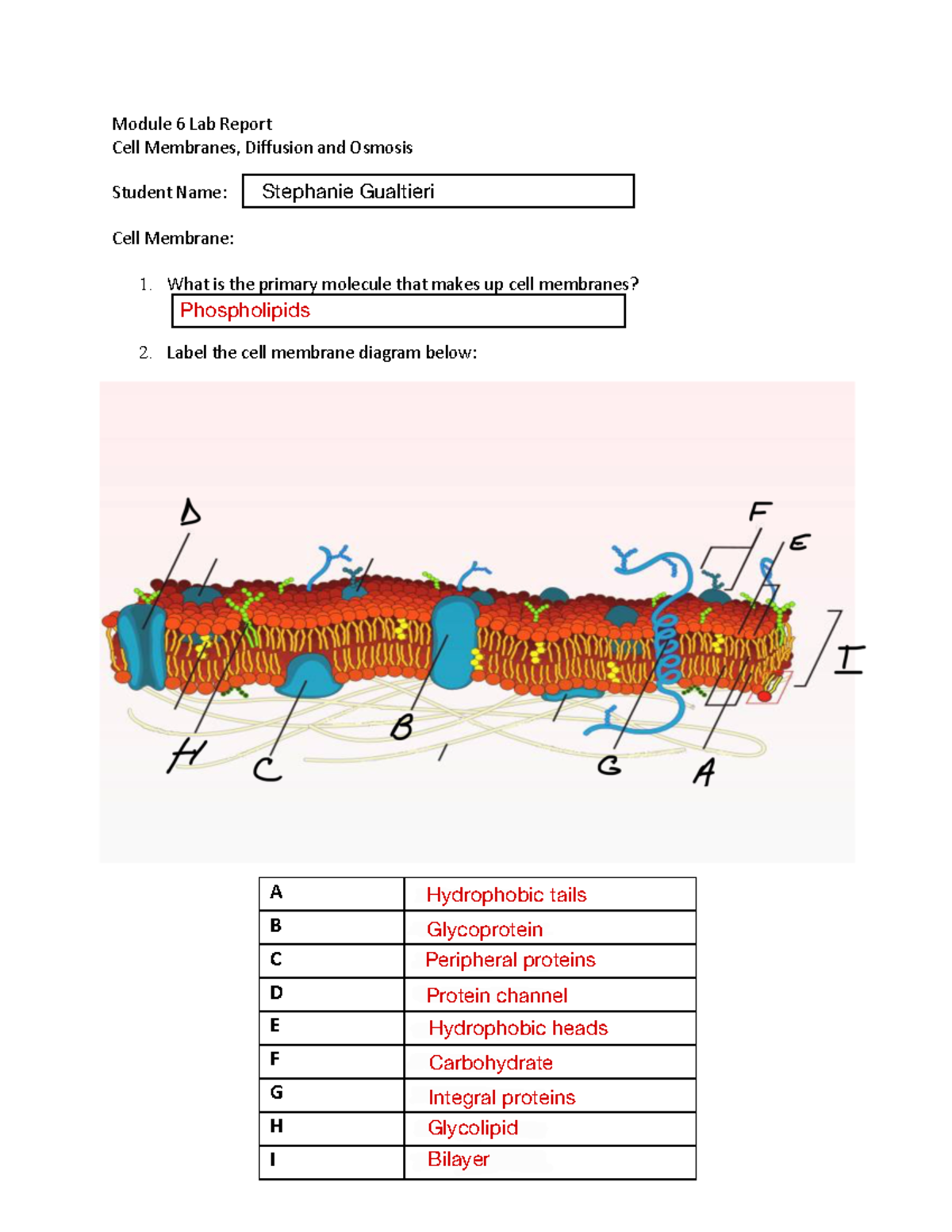 Module 5 Lab Report final - ####### Module 6 Lab Report ####### Cell ...