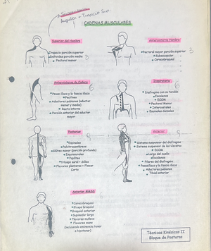 Kinesiology notes 2 - Biomechanics has a long history of kinematic ...