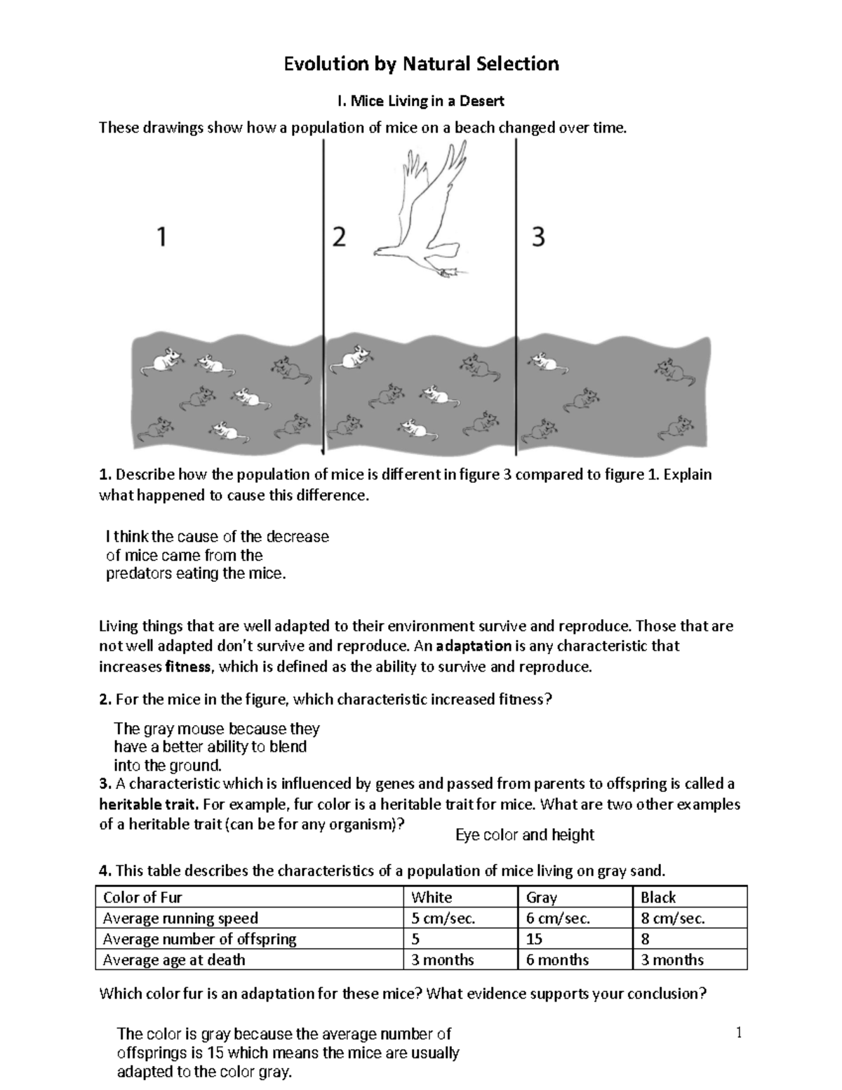Natural Selection Worksheet pt 1 - 1 Evolution by Natural Selection I ...