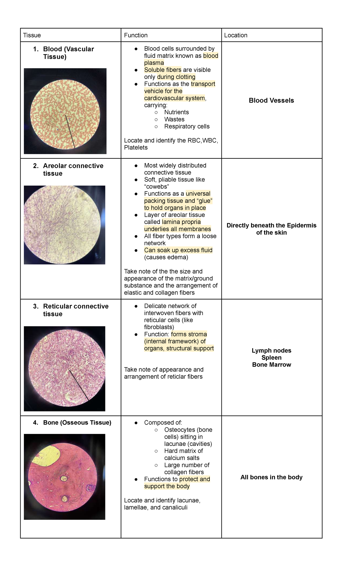 Anaphy Histology compressed - Tissue Function Location 1. Blood ...