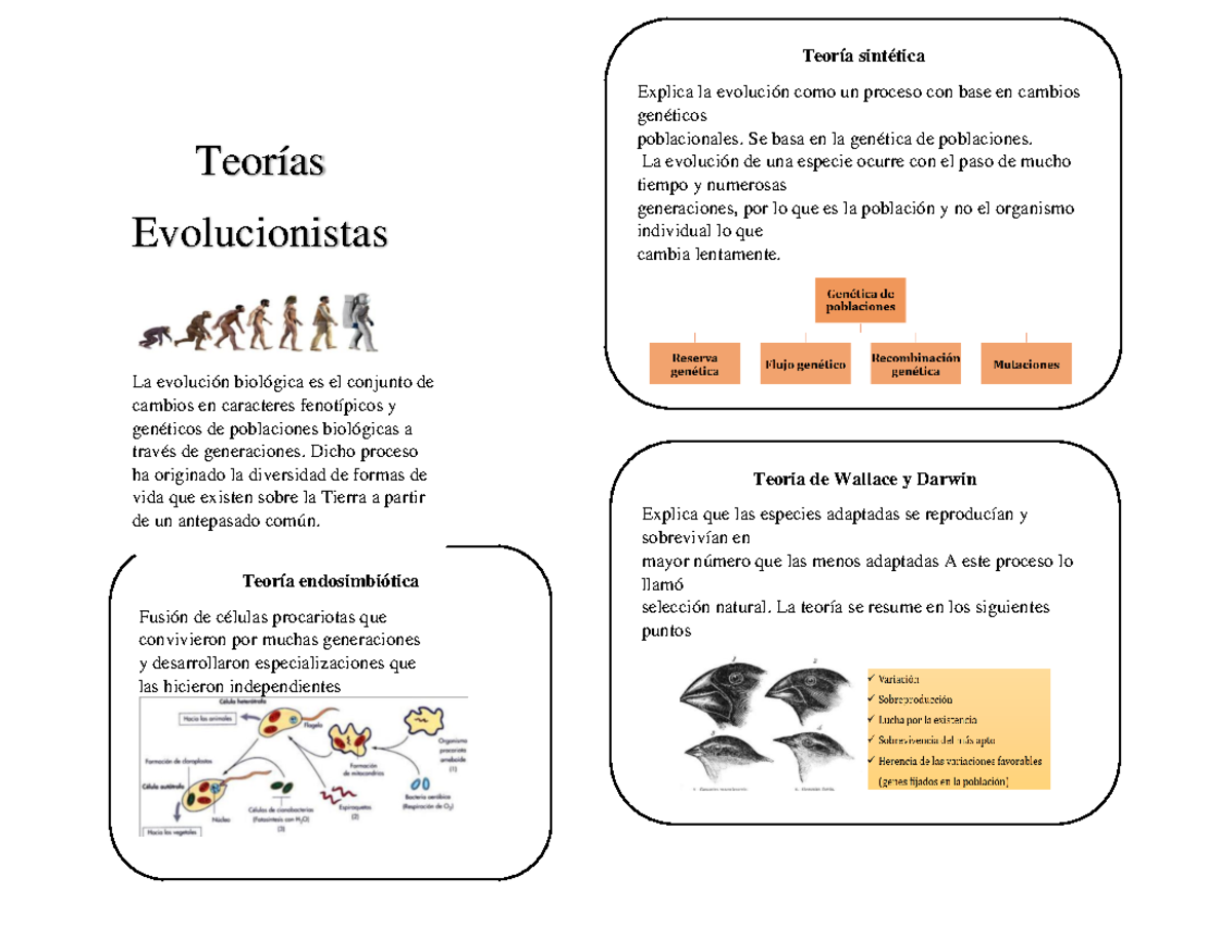 Teoría evolucionista, evolución de la humanidad y de la tierra ...
